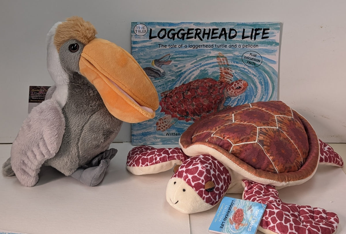Loggerhead Life Gift Set – stjohnspice.com