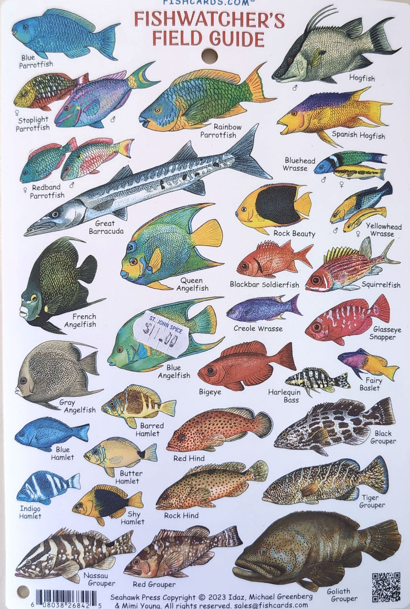 Fishwatcher's Field Guide Waterproof Card – stjohnspice.com