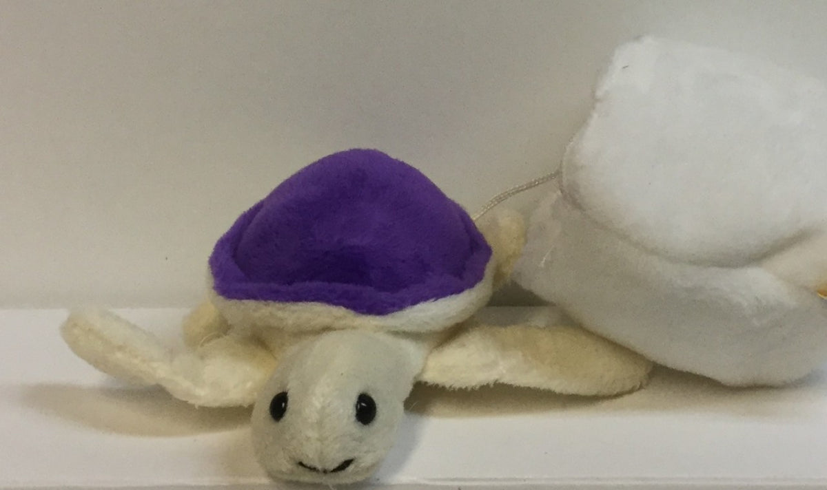 Happy Hatchlings – stjohnspice.com