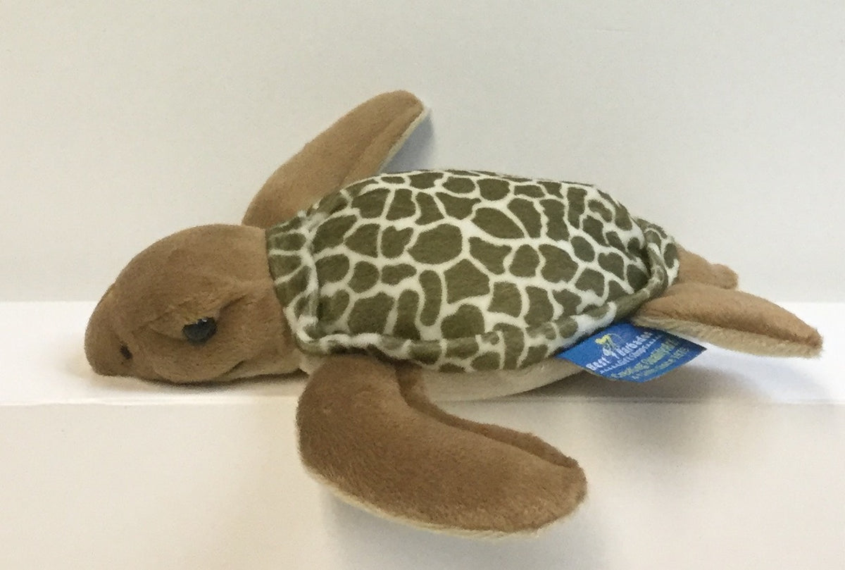 Tilli Turtle Mini – stjohnspice.com