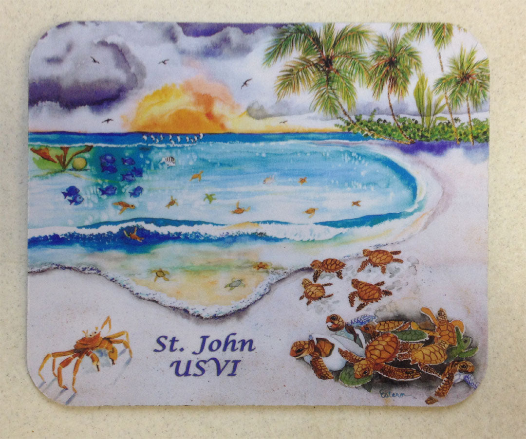 Turtles Hatching at Sunset Mousepad – stjohnspice.com